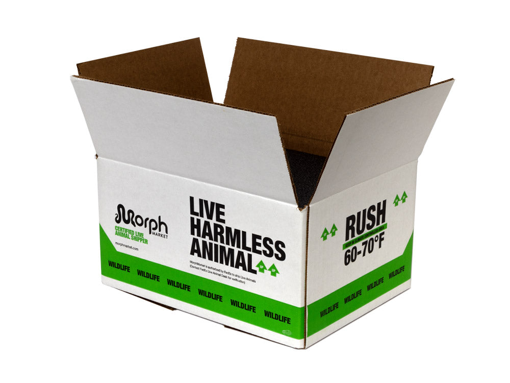 MM Branded Insulated Shipping Boxes – MM Shipping Supplies