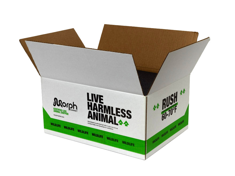 MM Branded Insulated Shipping Boxes – MM Shipping Supplies