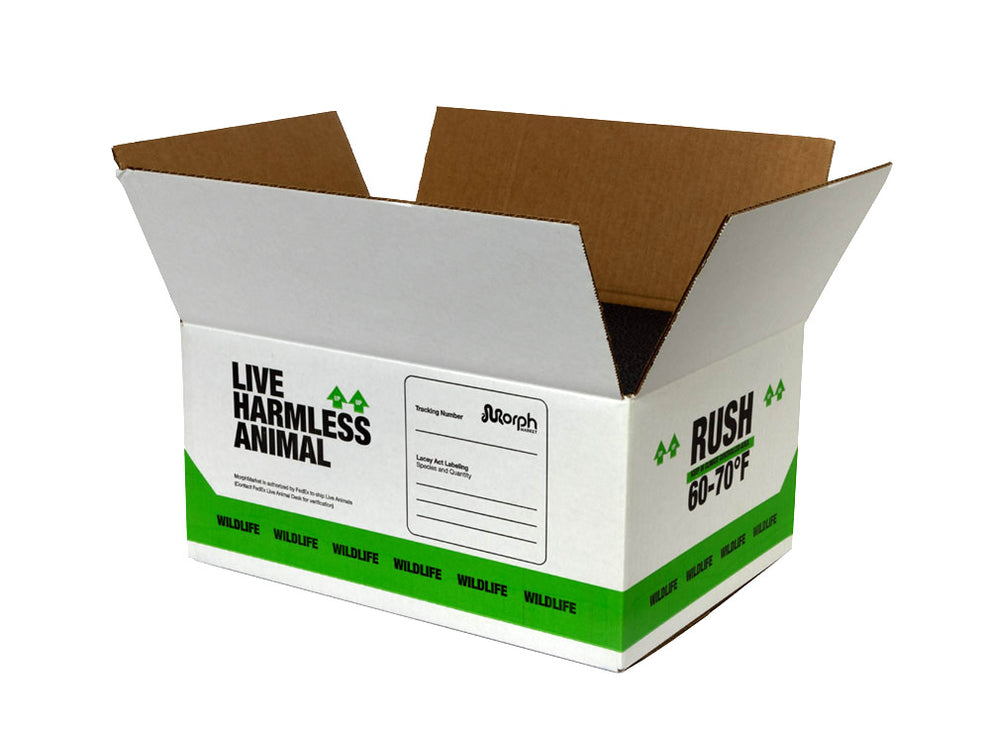 MM Branded Insulated Shipping Boxes FREE SHIPPING – MM Shipping Supplies