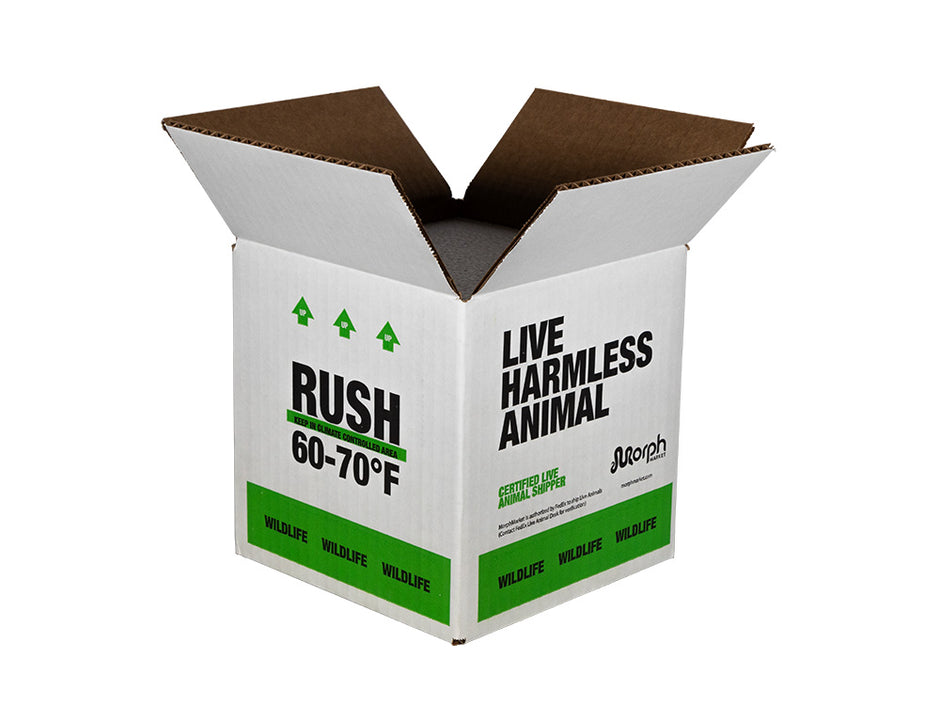 Reptile Shipping Supplies by MorphMarket – MM Shipping Supplies